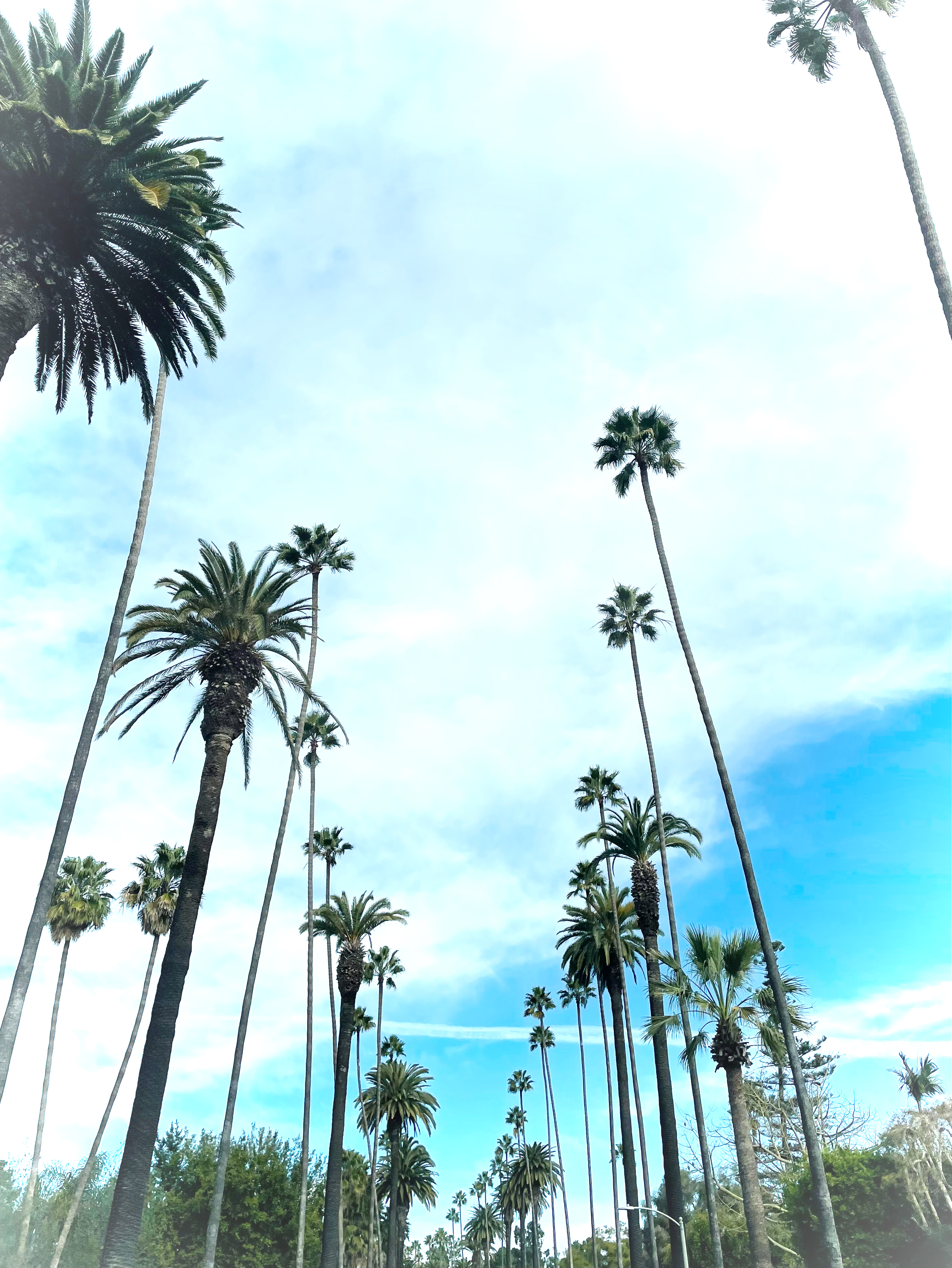 Colorful Los Angeles – THE COPELAND ADVENTURES