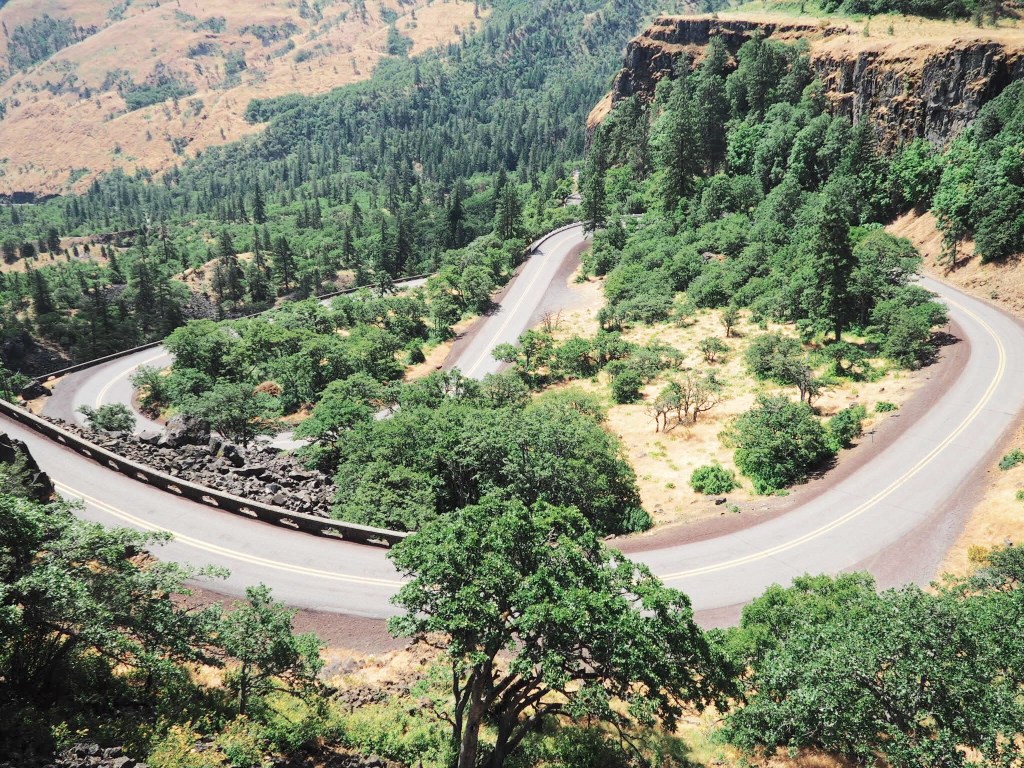 Rowena Crest Viewpoint – THE COPELAND ADVENTURES