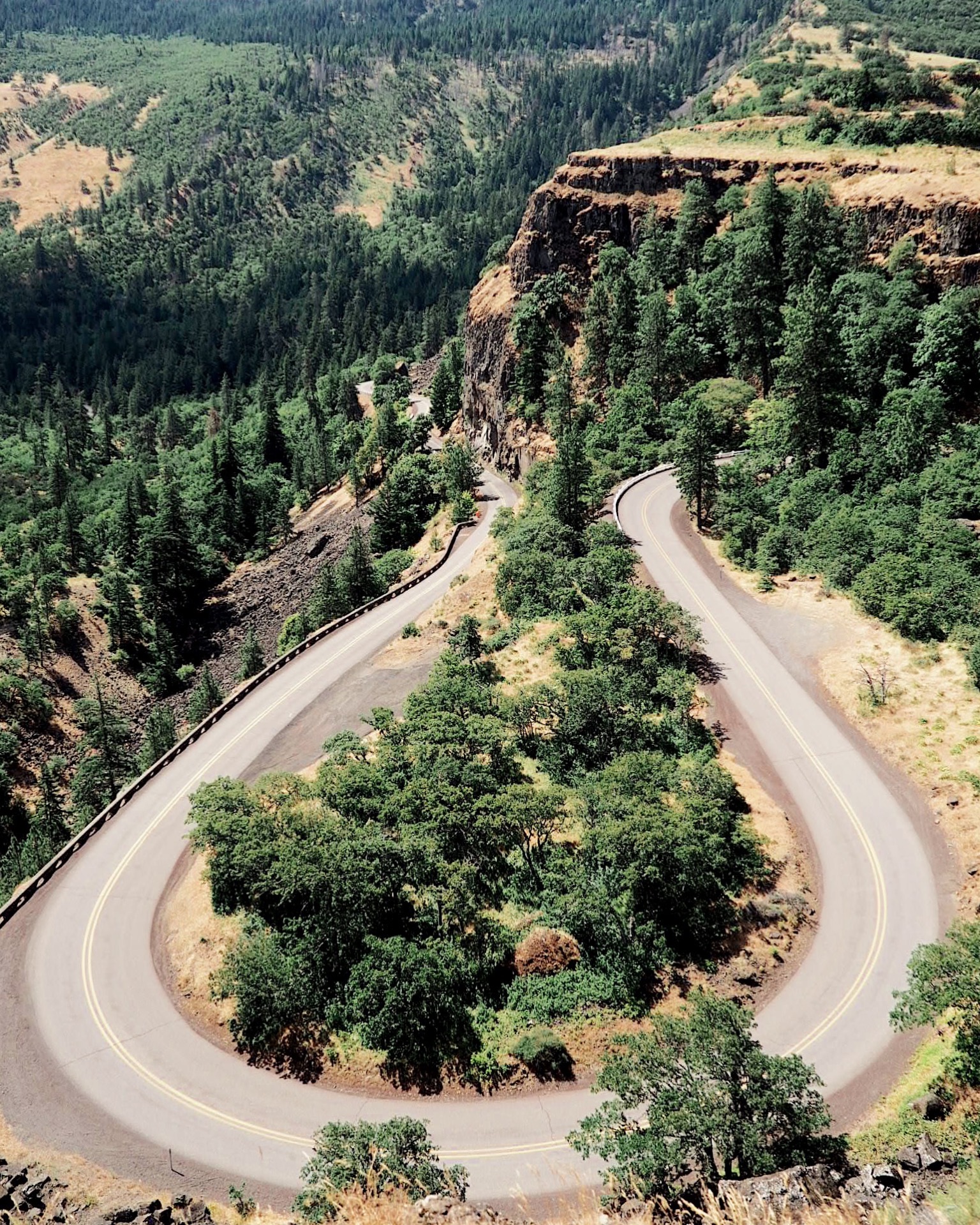 Rowena Crest Viewpoint – THE COPELAND ADVENTURES